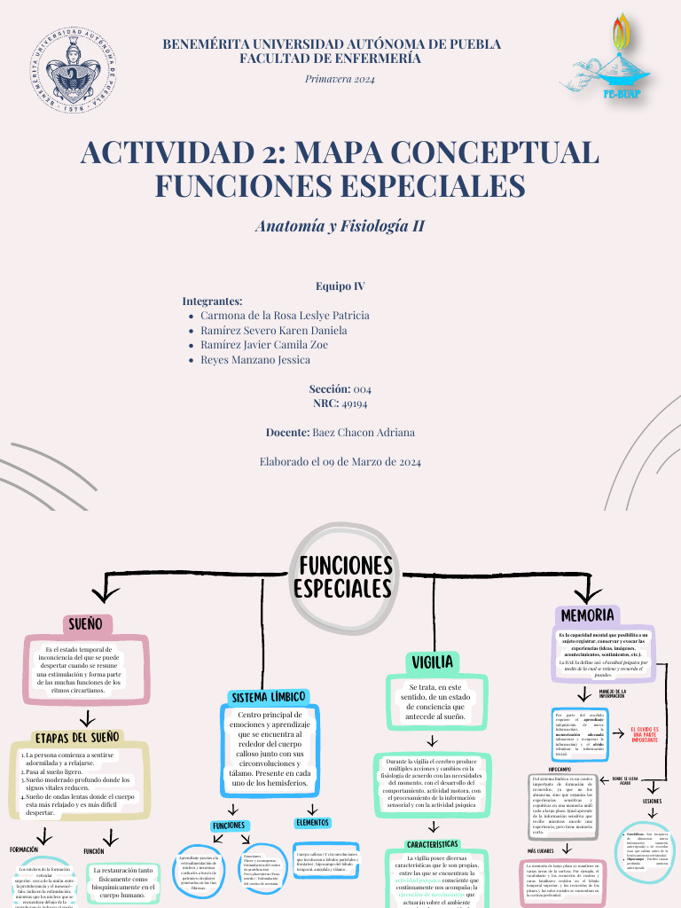 ACTIVIDAD 2 Mapa Conceptual Funciones Especiales | PDF | Memoria | Amnesia