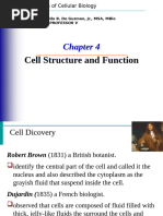 Asters in Mitosis and Types of Plastids | PDF | Mitosis | Cell Biology