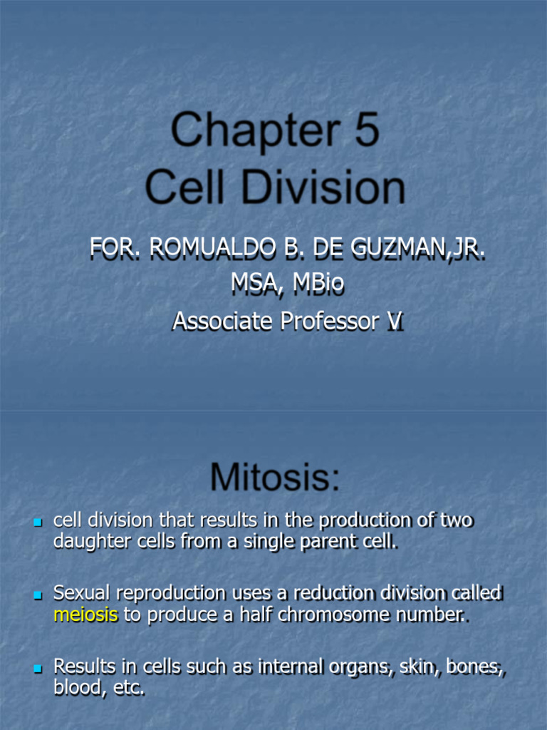 Chapter 5 Cell Division | PDF | Meiosis | Mitosis