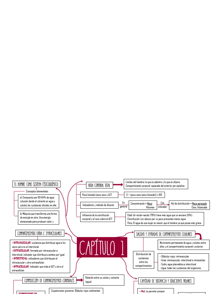 TAREA 2-3 - Mapas Conceptuales | PDF | Difusión | Agua