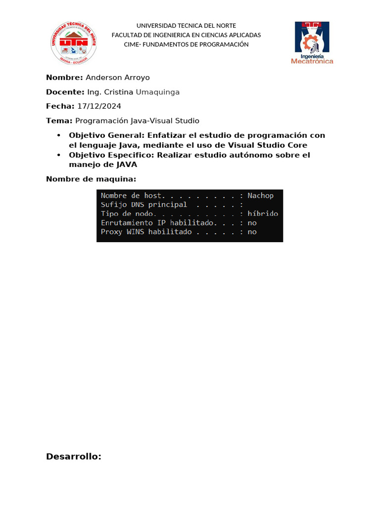 Arroyo Anderson Informe Java | PDF | Programación de computadoras | Lenguaje de programación