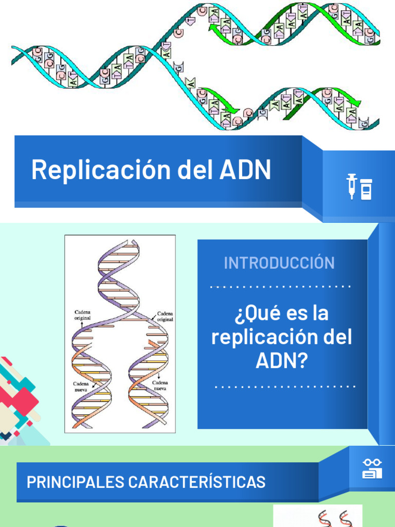 PPT_ Replicación del ADN | PDF | Replicación De Adn | Adn