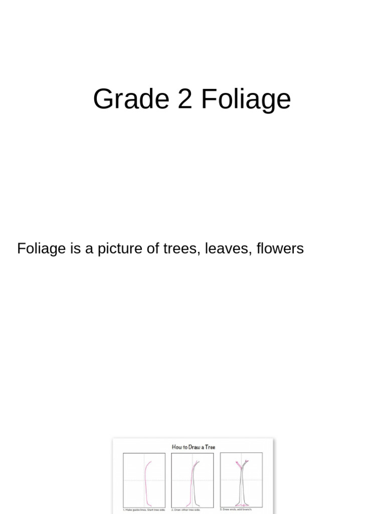 Grade 2 Drawing Foliage | PDF