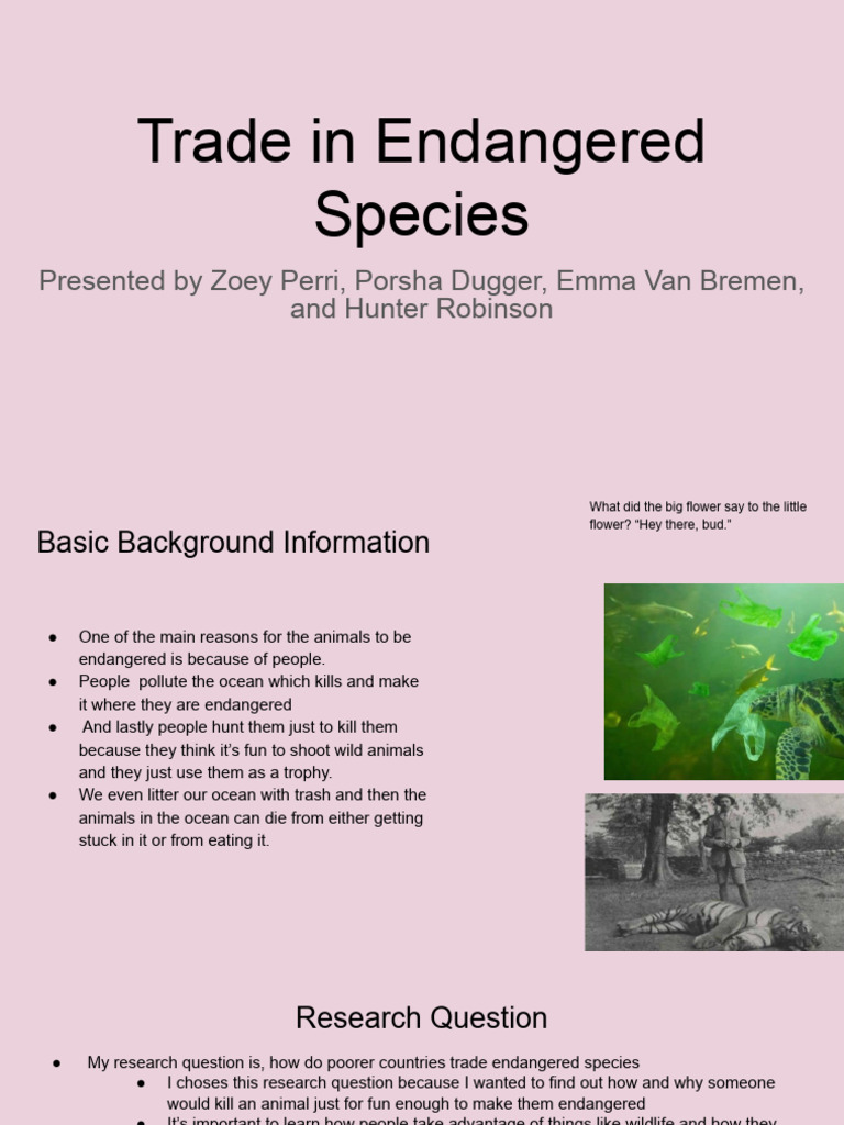 B1 Endangered Species Research Presentation | PDF | Endangered Species ...