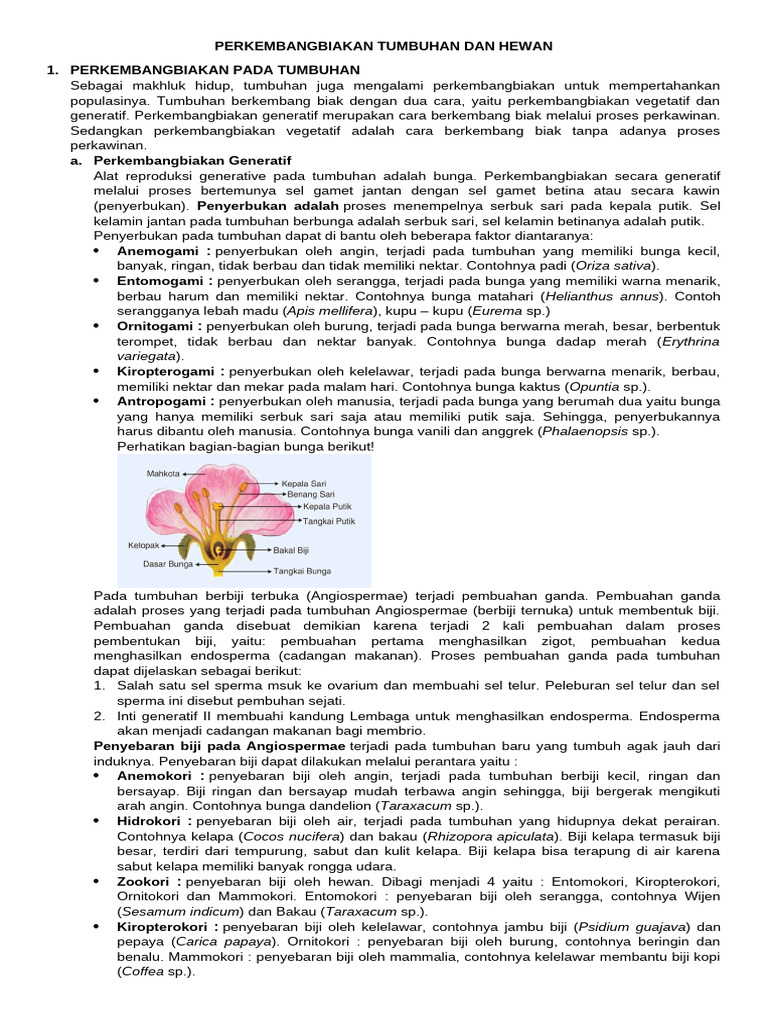 Perkembangbiakan Tumbuhan Dan Hewan | PDF