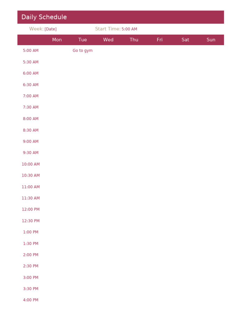 Weekly Daily Schedule Template | PDF