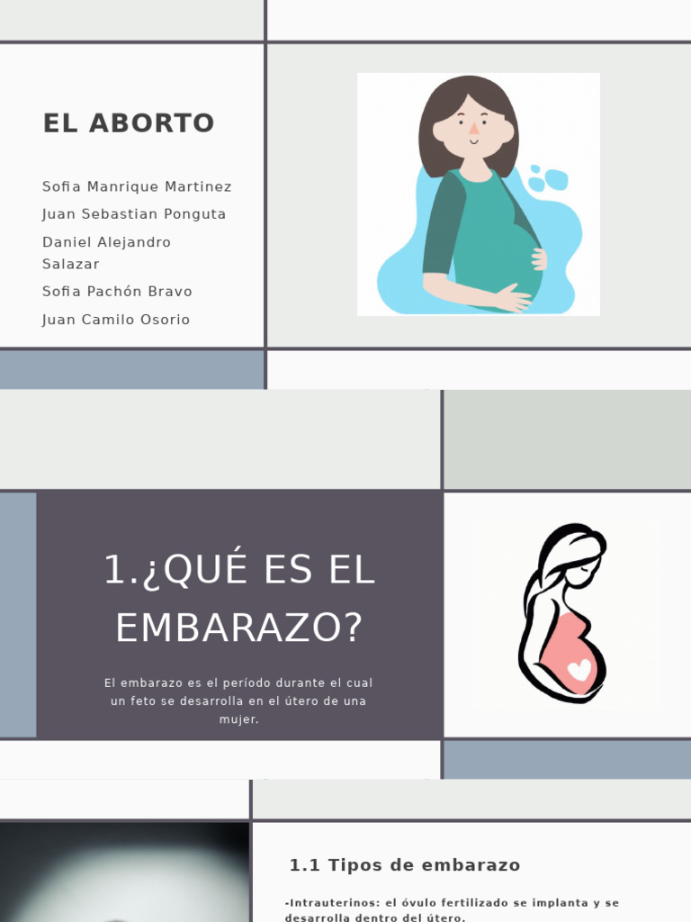 El Aborto | PDF | El embarazo | Aborto