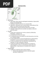 Revisión coledocolitiasis guías ASGE 2019 | PDF | Sistema digestivo ...