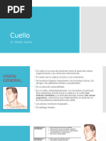 Anatomía del Cuello: Regiones y Estructuras | PDF | Piel | Cuello