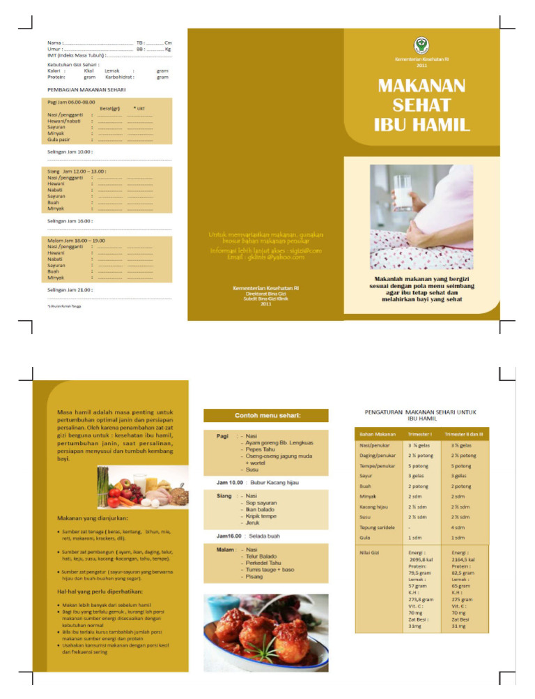 Leaflet Bumil Fix 2019 | PDF