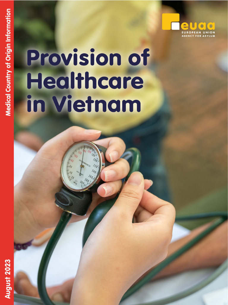2023 08 EUAA MedCOI Report Vietnam Healthcare Provision | PDF ...