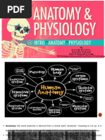 Anatomy and Physiology-Lecture Notes | PDF | Bone | Anatomical Terms Of ...