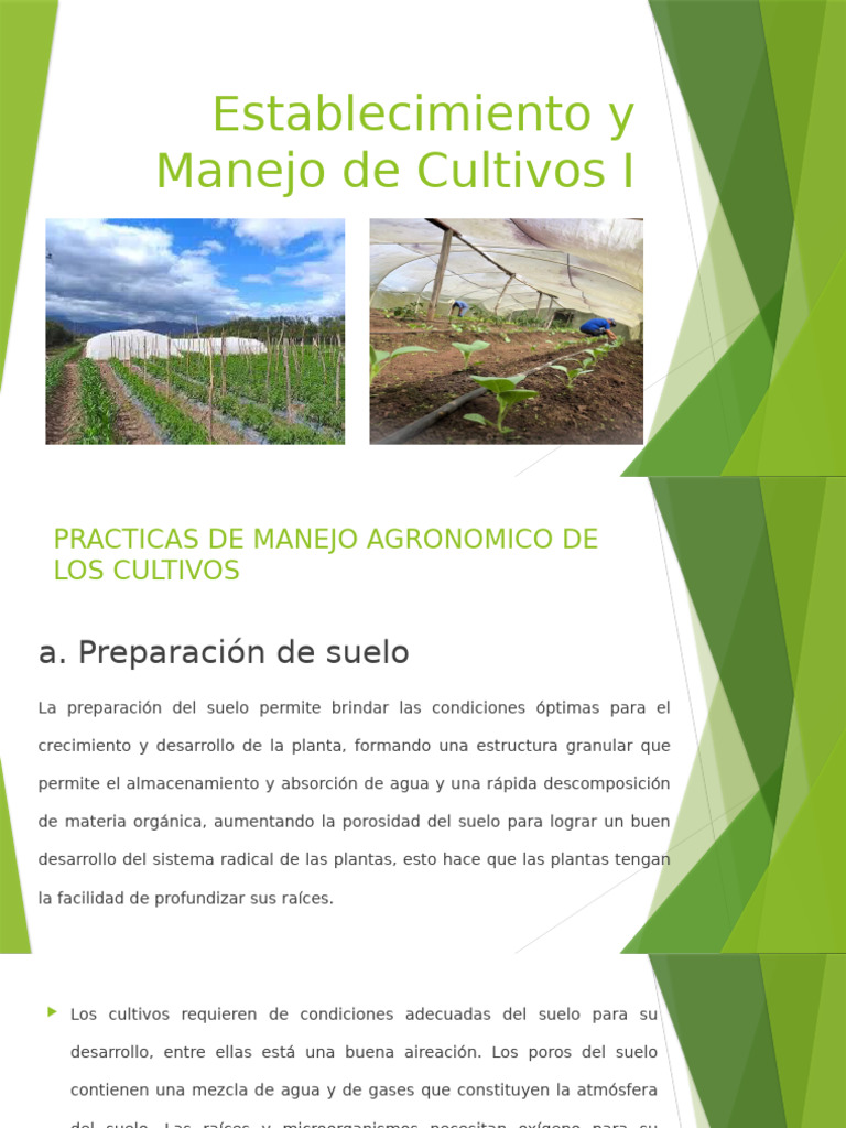 Establecimiento y Manejo de Cultivos I | PDF | Semilla | Germinación