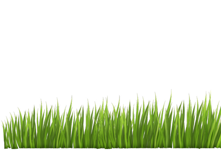 Grass | PDF