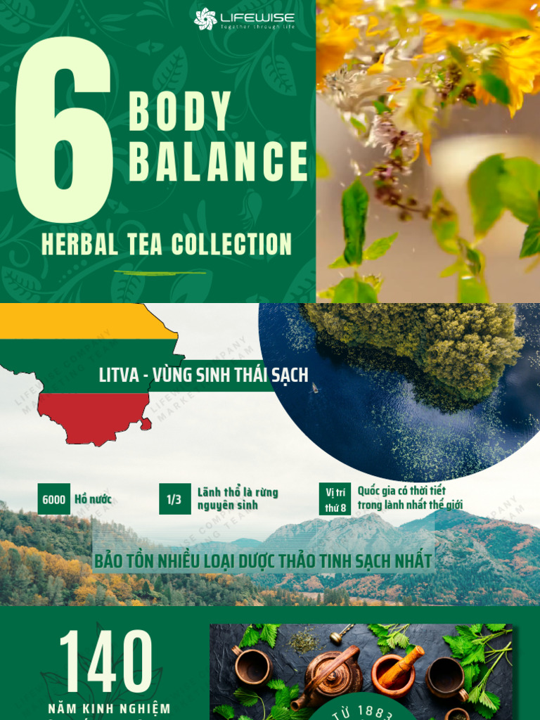Herbal Tea Collection | PDF