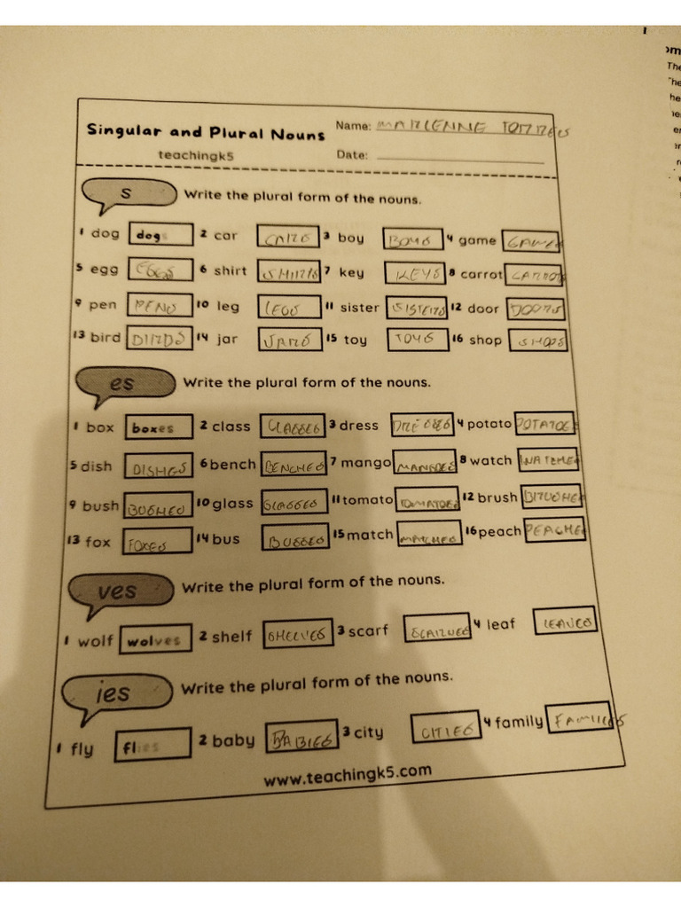Singular Plural Nouns | PDF