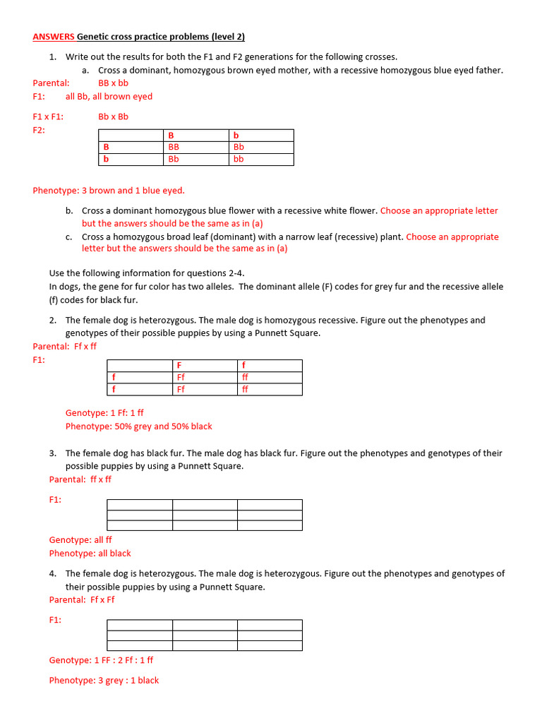 Level 2 Genetic Crosses Practice Problems (Level 2) ANSWERS | PDF ...