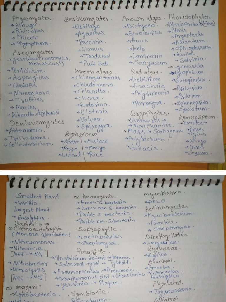 Biology Important Example ($#@#) | PDF