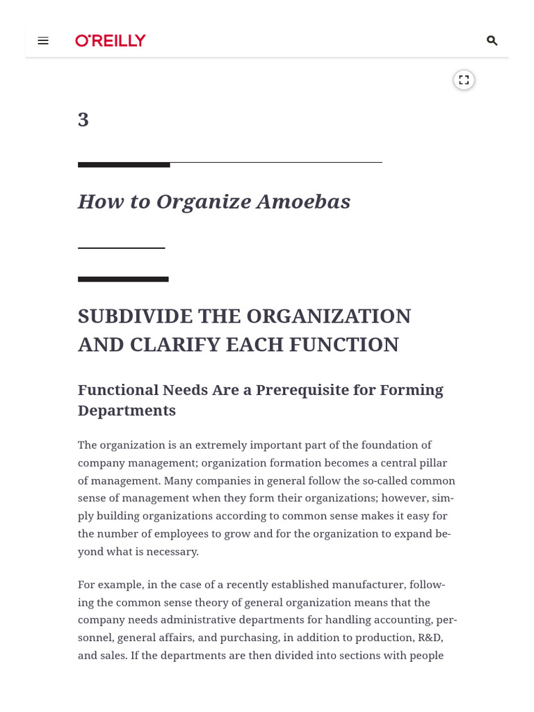 Chapter 3 How To Organize Amoebas - Amoeba Management | PDF | Sales ...