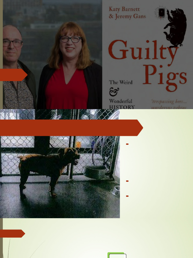 Law Rare Book Slides 2023 | PDF | Public Law | Criminal Law