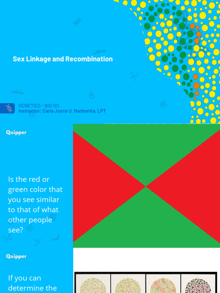 Understanding Sex Linkage In Genetics Pdf Genotype Genetic 9900