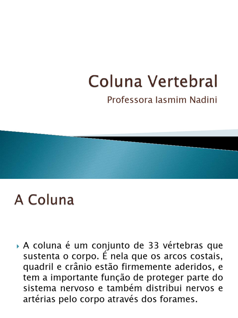 Anatomia Da Coluna Vertebral | PDF | Coluna vertebral | Sistema Locomotor