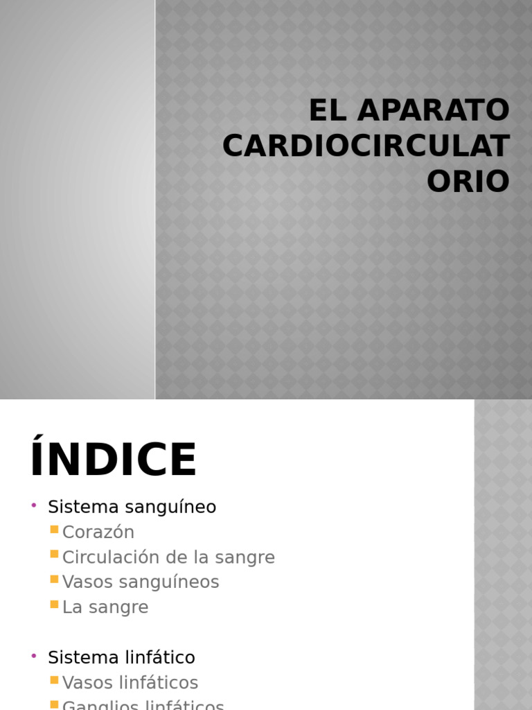 Aparato Cardiocirculatorio | PDF | Corazón | Sistema circulatorio