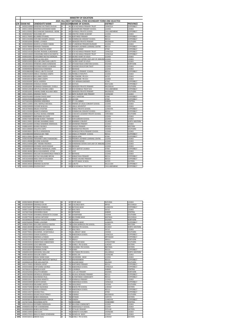 Form One Selection Results 2025 | PDF
