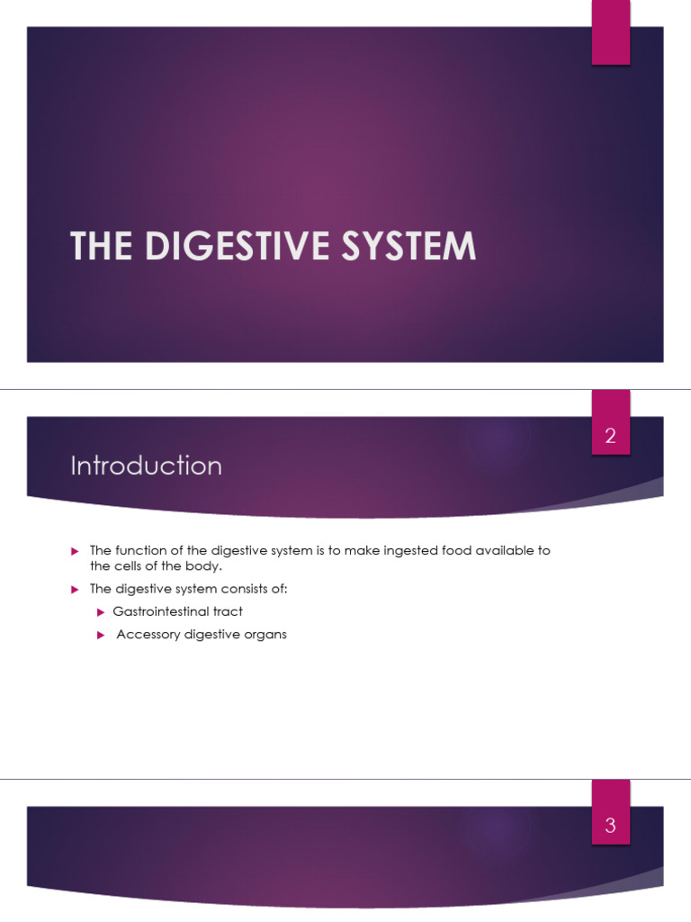 1The digestive system | PDF | Human Digestive System | Stomach