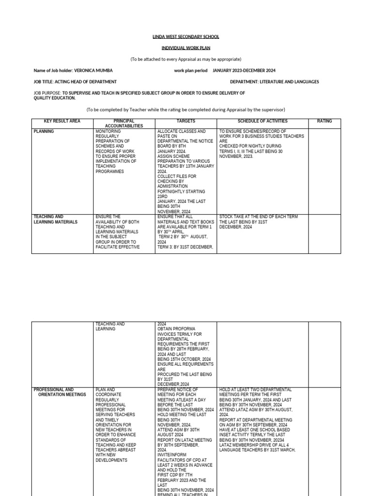 Individual Work Plan New | PDF