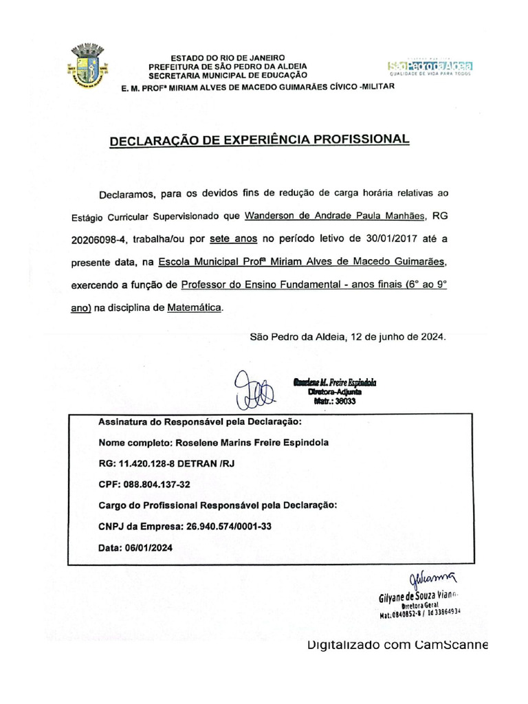 declaração de experiencia 2025 | PDF
