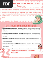 RCH Portal Data Entry Manual | PDF | Childbirth | Pregnancy