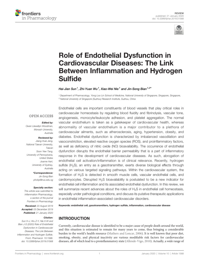 Role of Endothelial Dysfunction in Cardiovascular Diseases | PDF ...