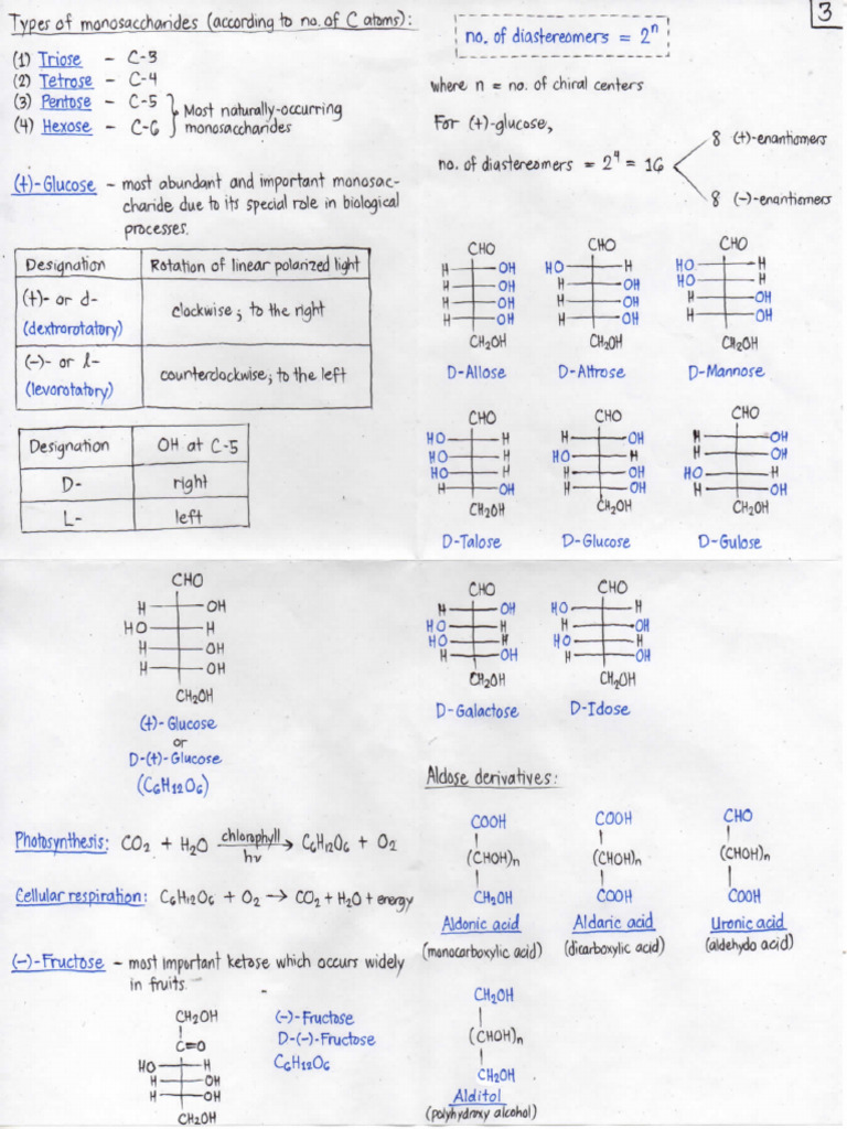 ASB Biochem 3 | PDF