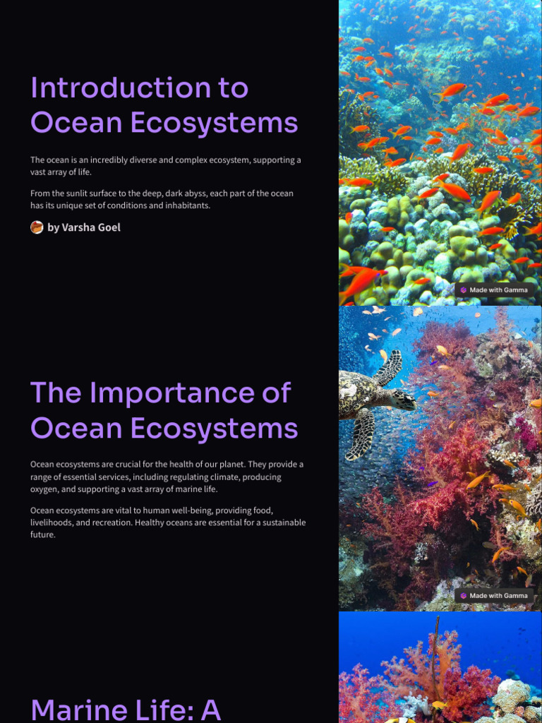 Introduction To Ocean Ecosystems | PDF | Oceans | Marine Biology