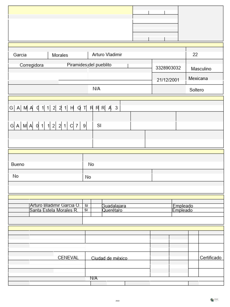 Sne Solicitud de Empleo Alv | PDF