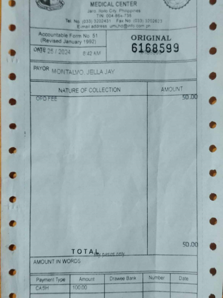 Official Receipt | PDF