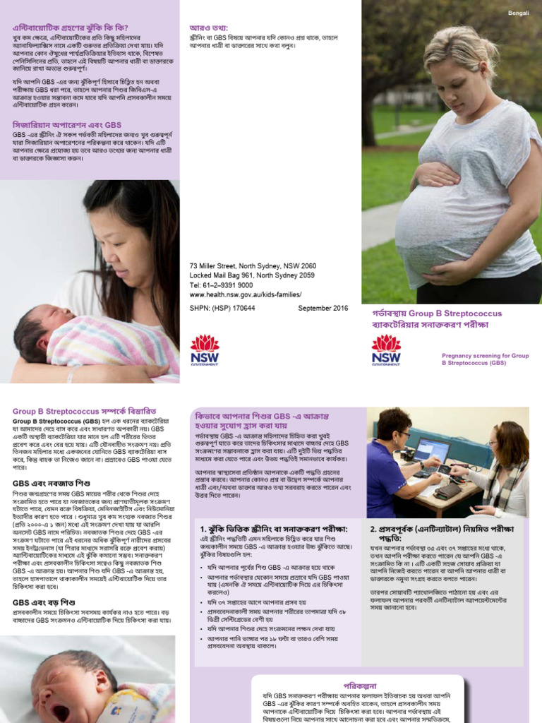 Pregnancy Screening Bengali Gbs | PDF