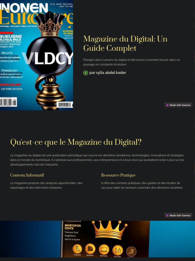 Magazine Du Digital Un Guide Complet | PDF