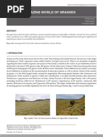 GRass N | PDF | Plants | Botany
