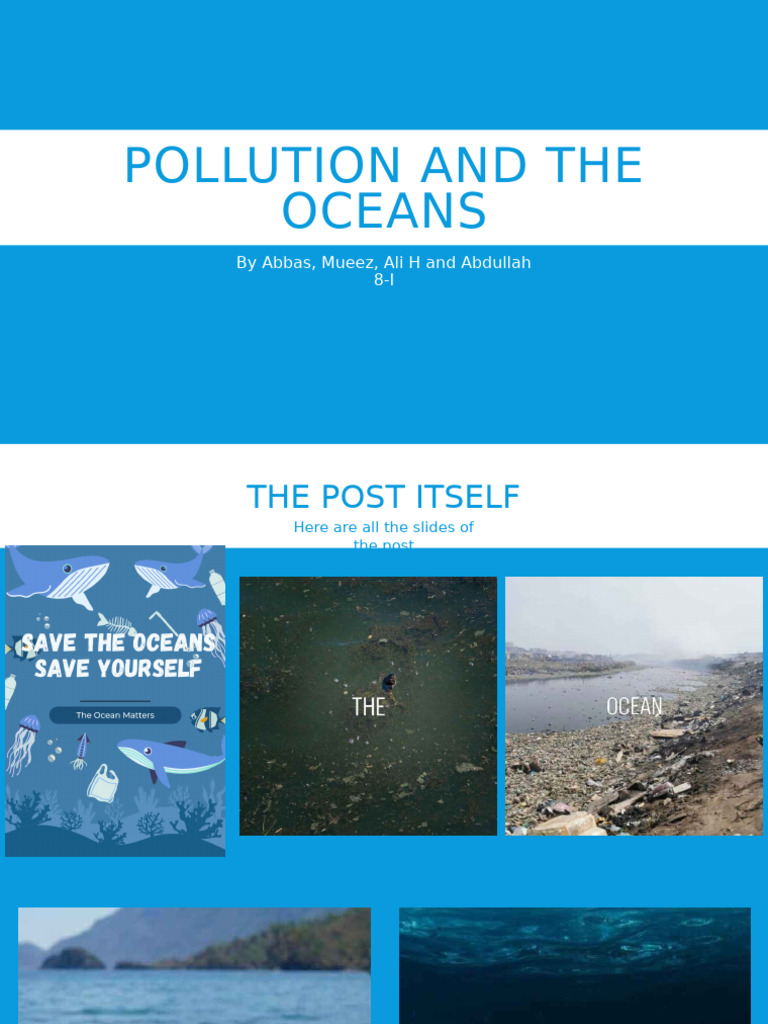 Pollution and The Oceans | PDF