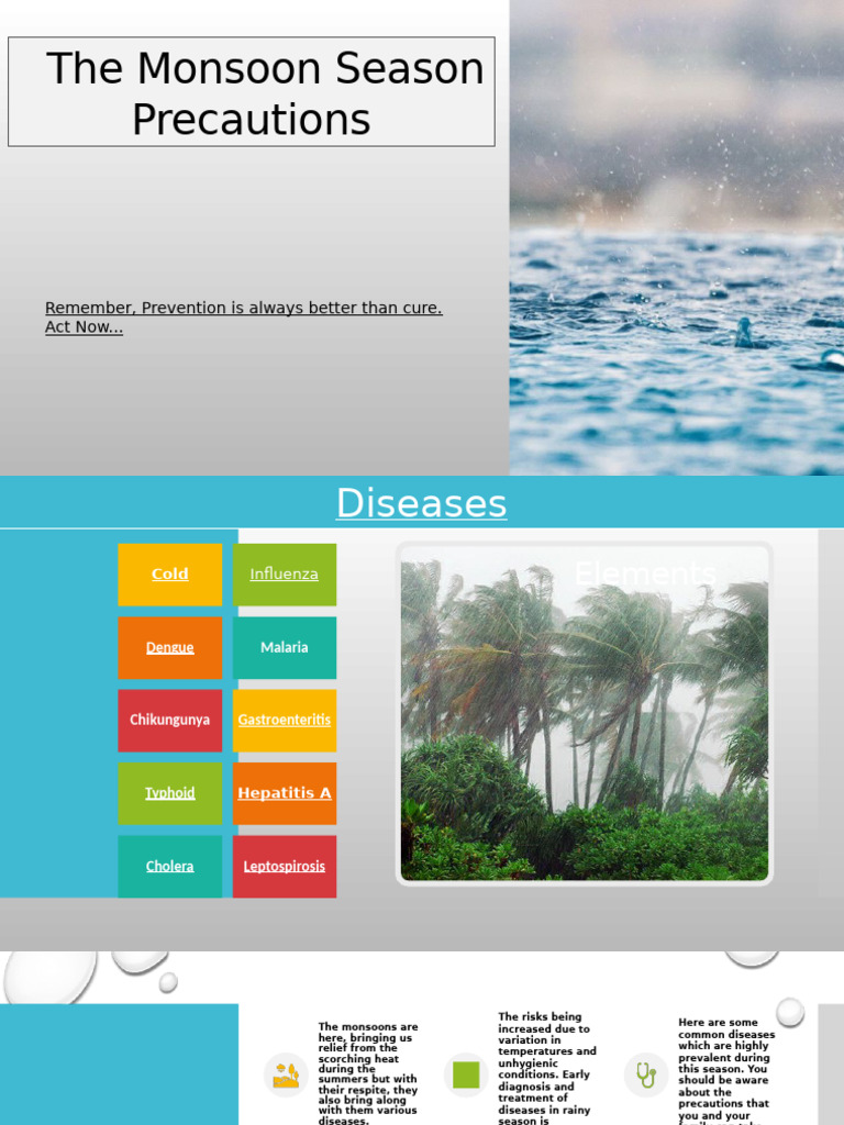 Monsoon Season Disease Precautions | PDF