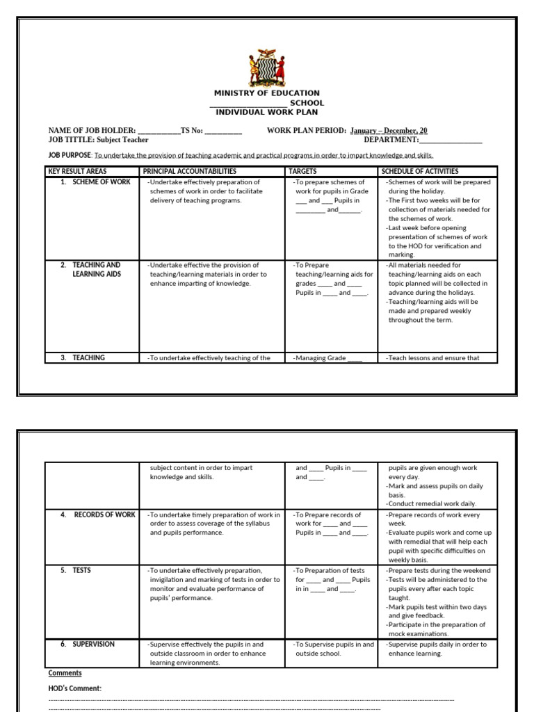 Individual Work Plan by D Phiri | PDF | Teachers | Learning