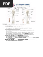 Occupational Profile Assessment Template | PDF