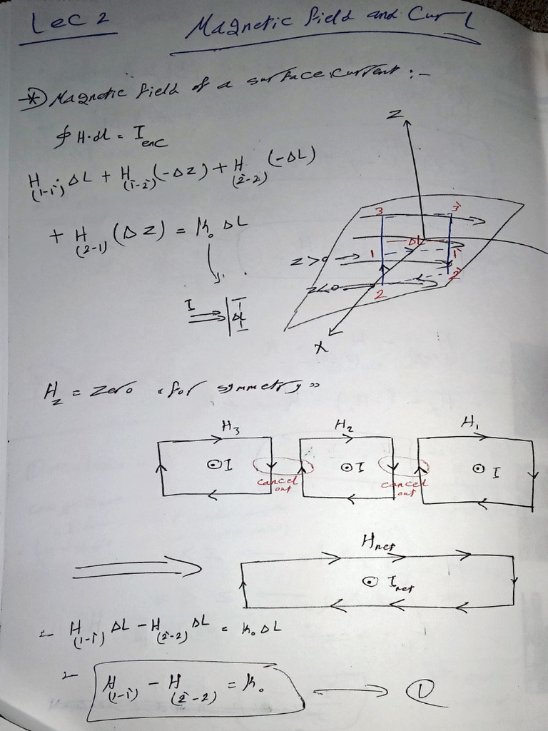 LEC2 Field تبييض داتي | PDF
