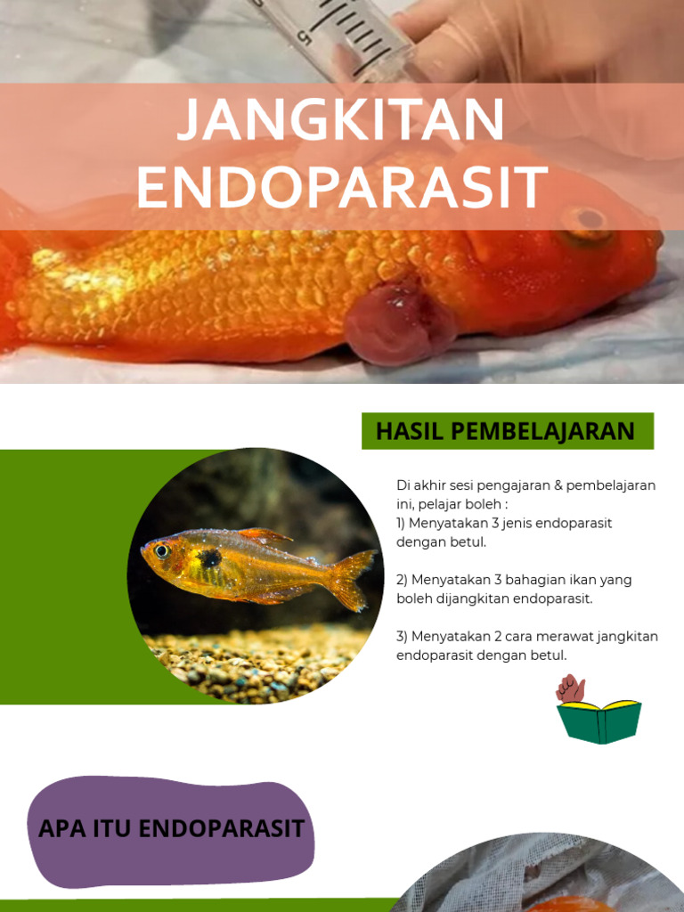 Endoparasit Pada Ikan | PDF