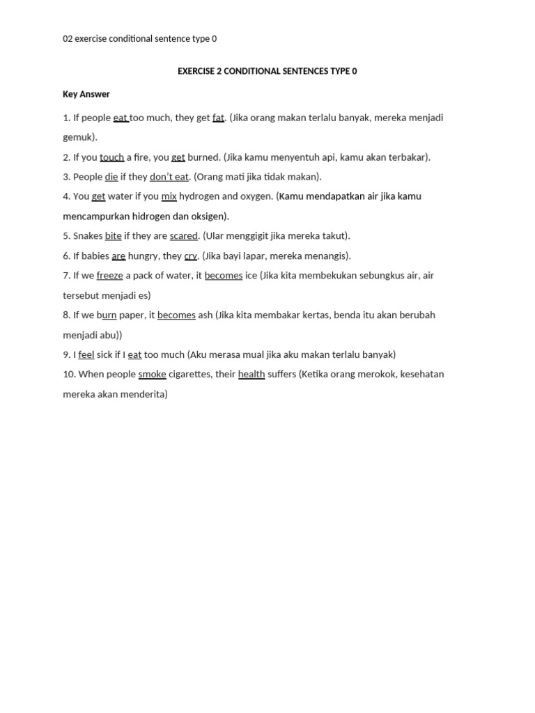Type 0 Conditional Sentences Exercise | PDF