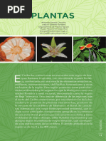 10 Plantas Endémicas de RD con Fotos | PDF | República Dominicana