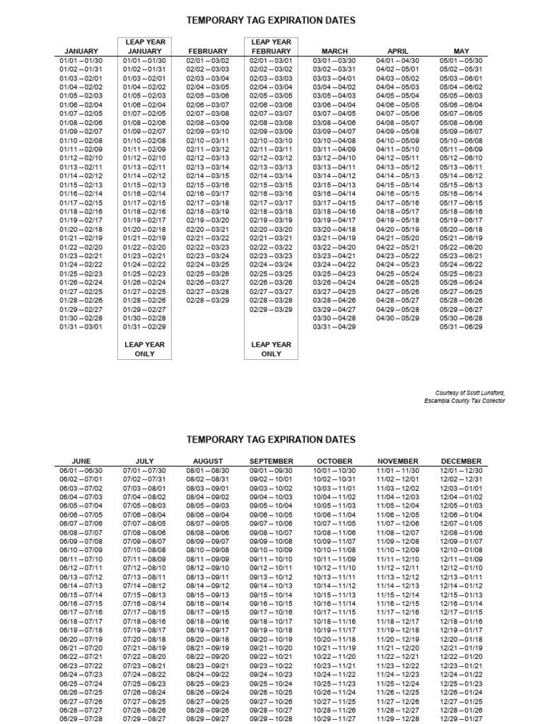 Temp Tag Date Issuance | PDF