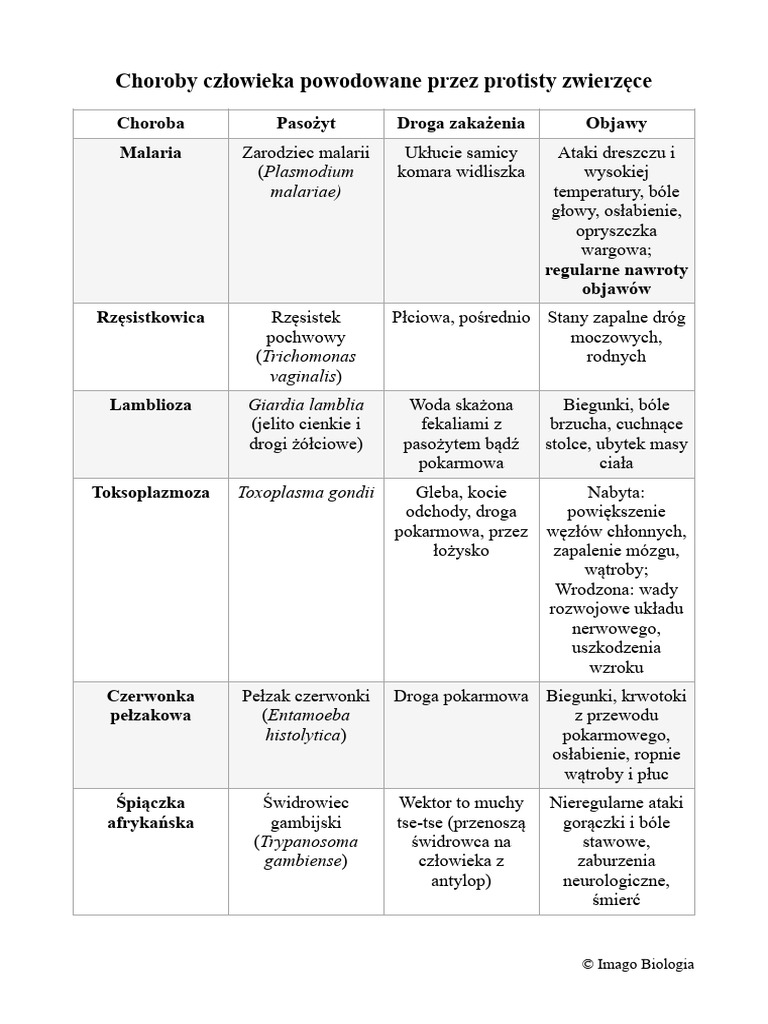 Protisty | PDF